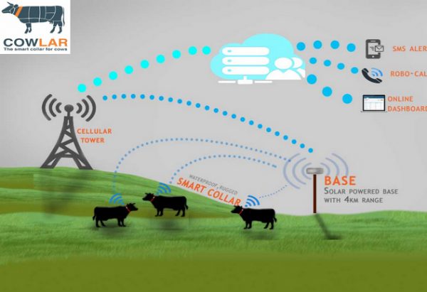 Cowlar Wins $10,000 At Pakistan Startup Cup.