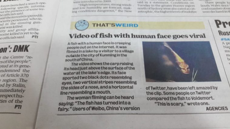 Video of Fish with human face goes viral on the internet