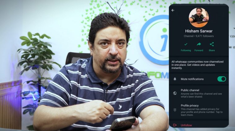 Freelancing WhatsApp group connect with like-minded people