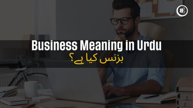 Business Meaning in Urdu | بزنس کیا ہے؟